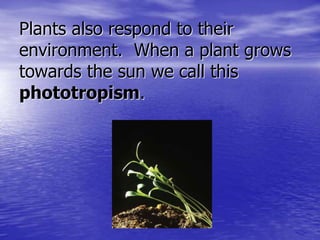 external_stimuli (1).ppt