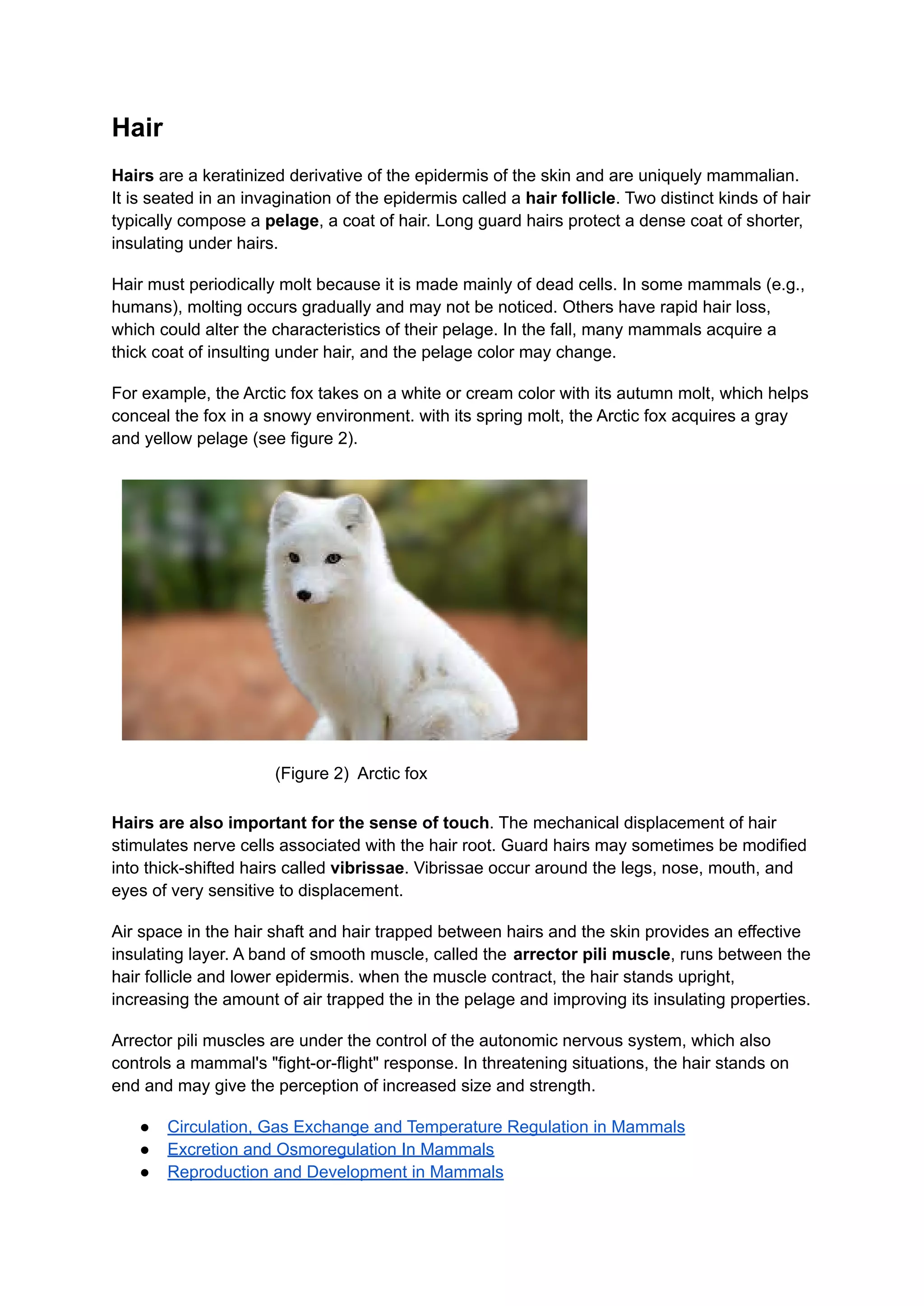 External Structure and locomotion.pdf