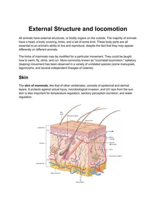 External Structure and locomotion.pdf