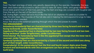 EXTERNAL STRUCTURE AND LOCOMOTION IN BIRDS.pptx