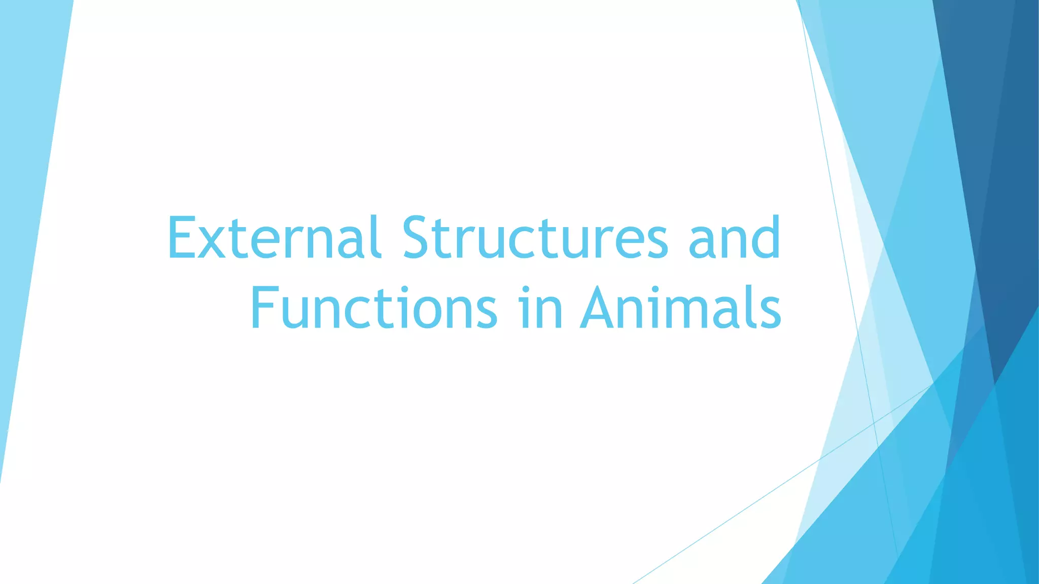 External structures and functions of animals | PPTX