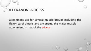 Extern conference oui | PPT