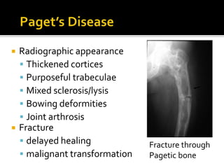 Extern jassdakorn suaypring | PPT