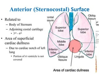 Ext features of heart | PDF