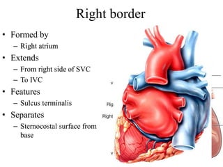 Ext features of heart | PDF