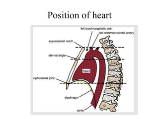 Ext features of heart | PDF
