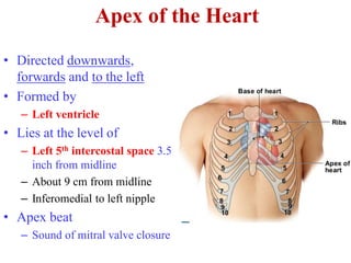 Ext features of heart | PDF