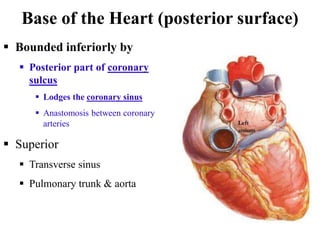 Ext features of heart | PDF