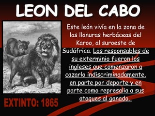 Animales Extintos | PPT