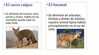 EXTINCION 2DO BASICO.pptx