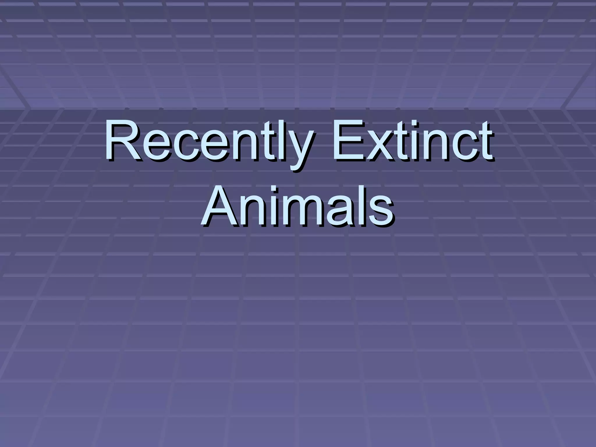 алешин дима. Extinct animals | PPT