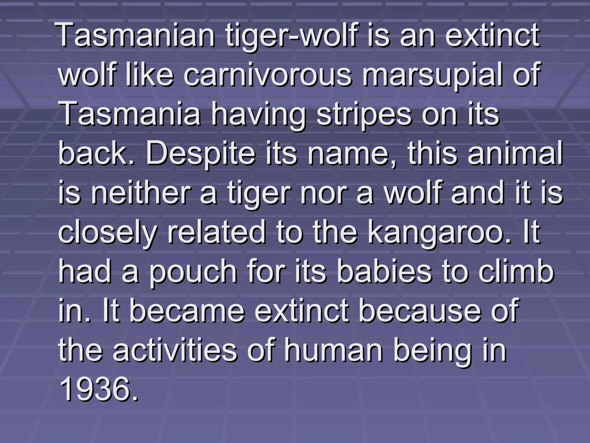 алешин дима. Extinct animals | PPT