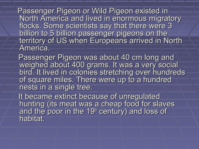 алешин дима. Extinct animals | PPT