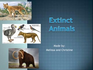 Extinct Animals In The Last 100000000 Years