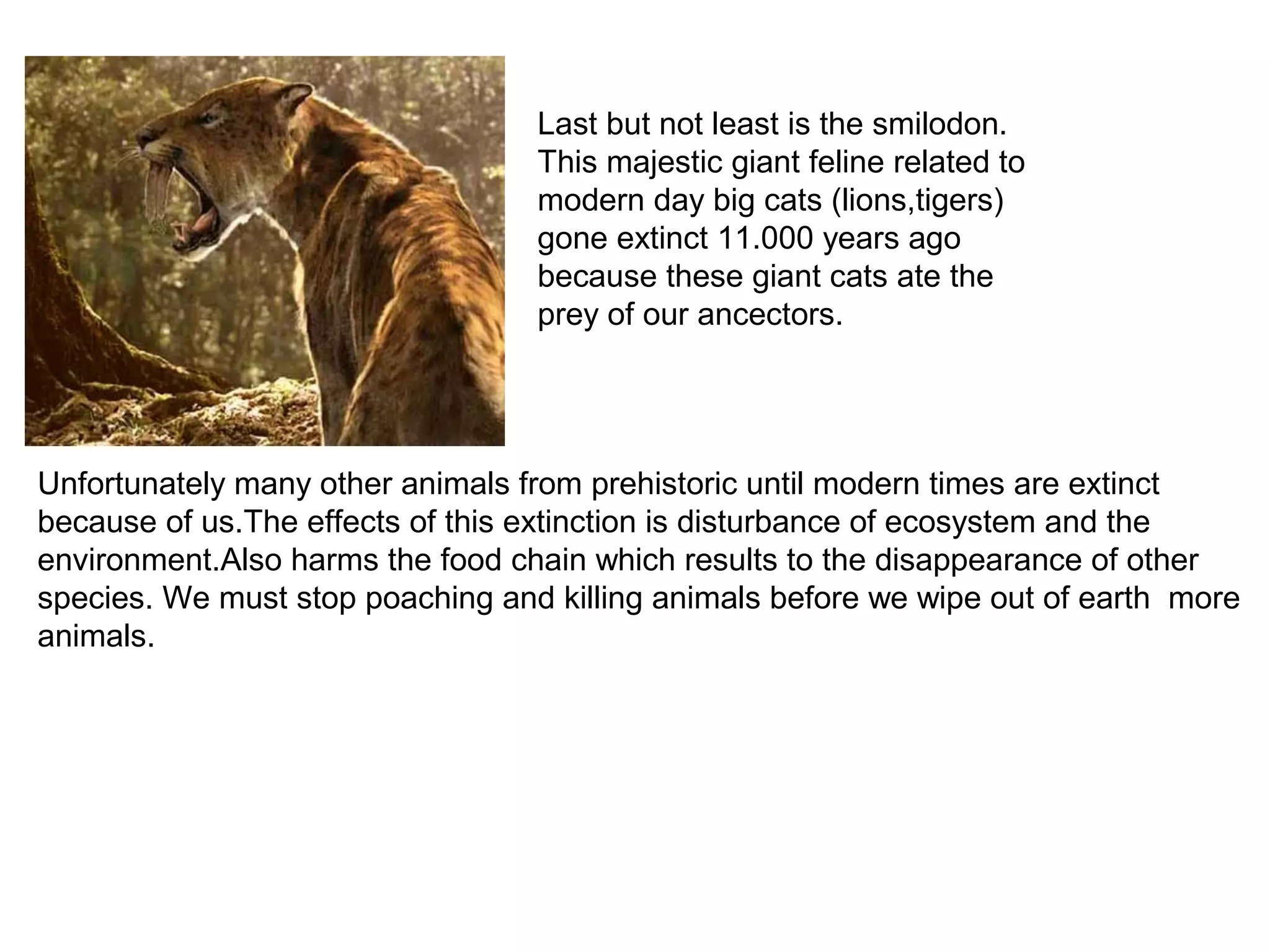 Extinct animals | PPT
