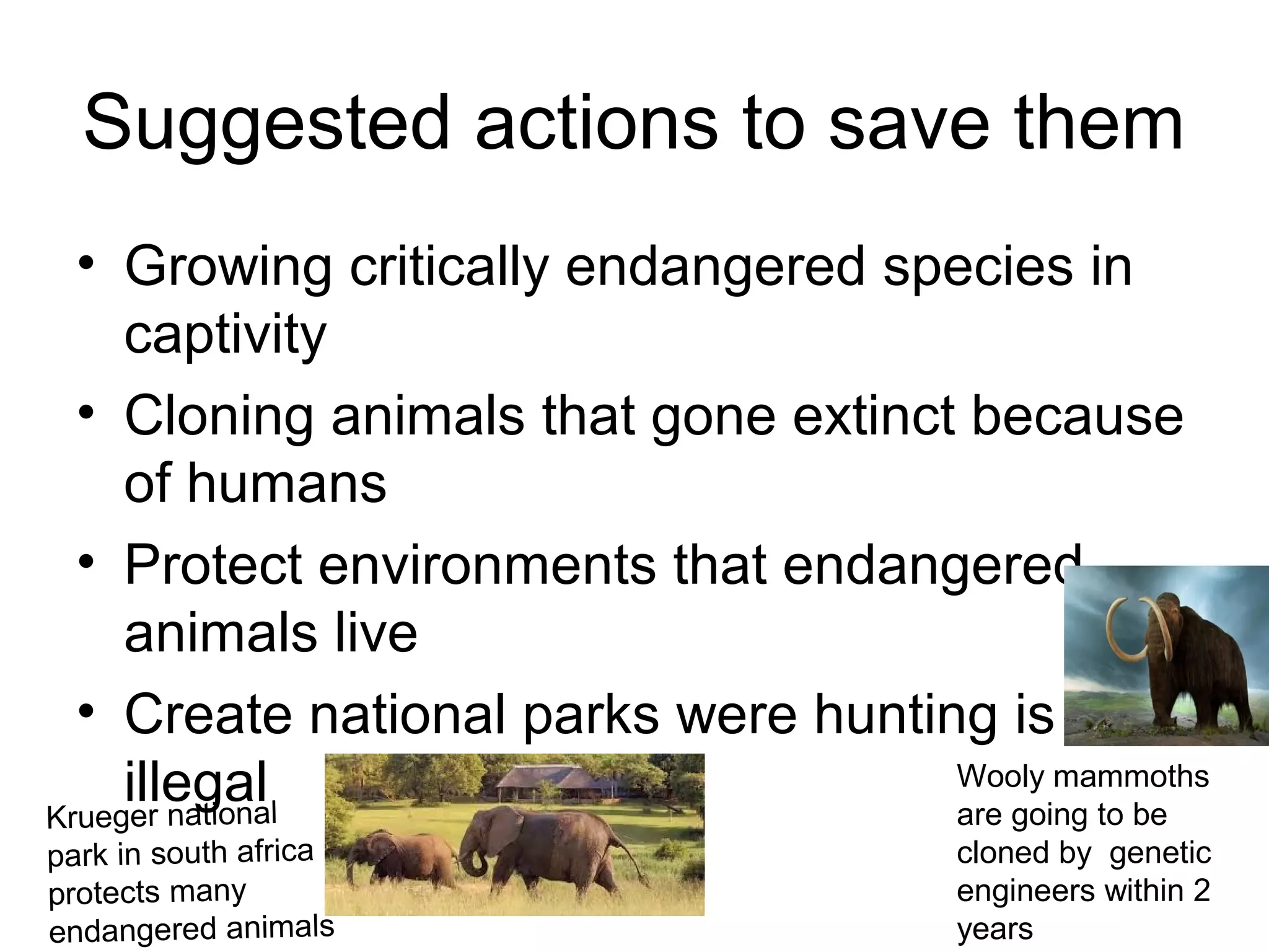 Extinct animals | PPT