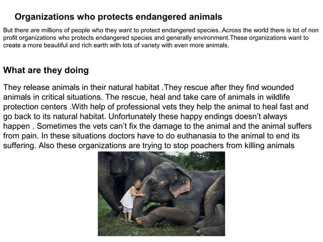 Extinct animals | PPT