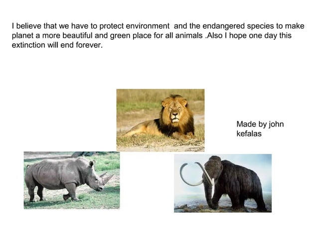 Extinct animals | PPT