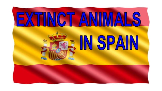 Extinct animals | PPT