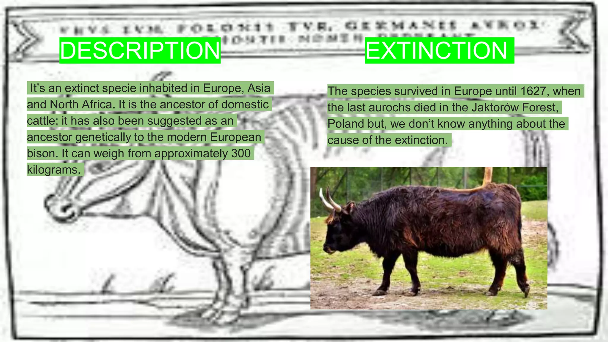 Extinct animals (2) | PPTX