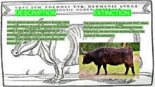 Extinct animals (2) | PPTX