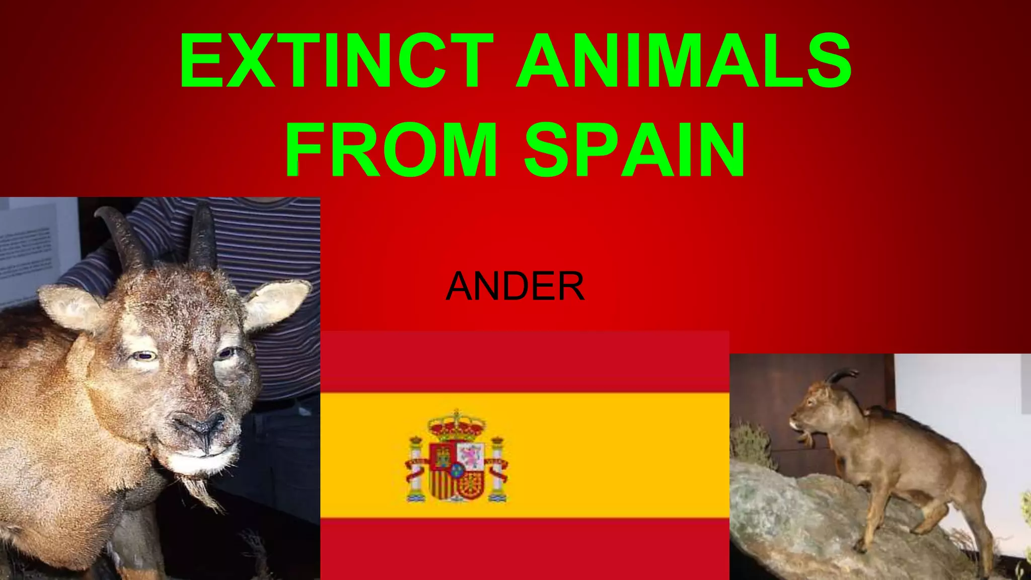 Extinct animals from spain (1) | PPTX