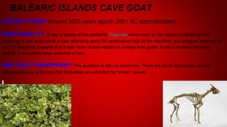 Extinct animals from spain (1) | PPT