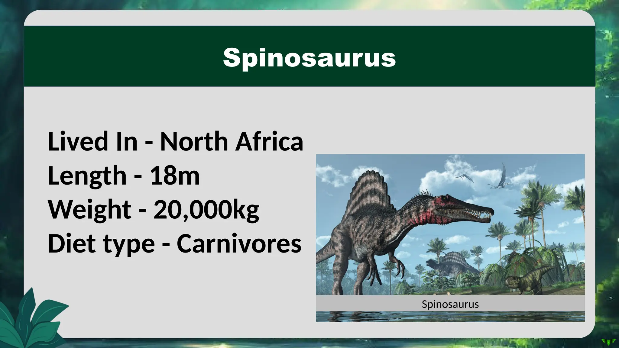 Extinct & Endangered Species: A Deep Dive into Lost Giants and ...