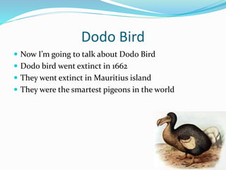 Extinct animals programme | PPTX