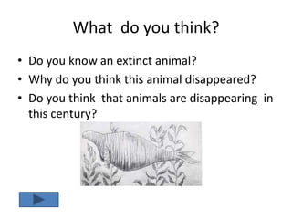 Extincted Animals | PPTX