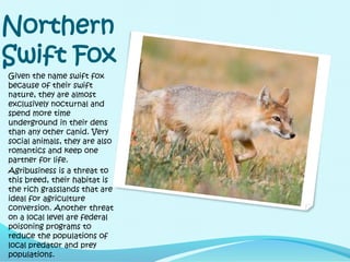 Extinct, endangered and threaten dogs4 students project...organic cop | PPT