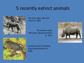 Extinct, endangered or threatened | PPT