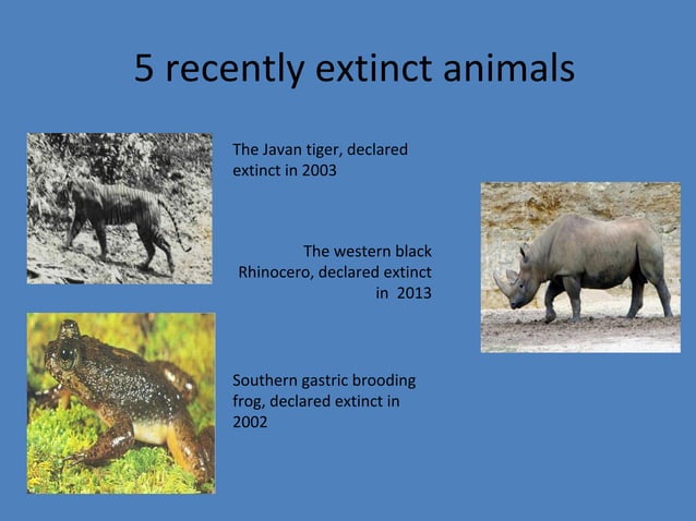 Extinct, endangered or threatened | PPT