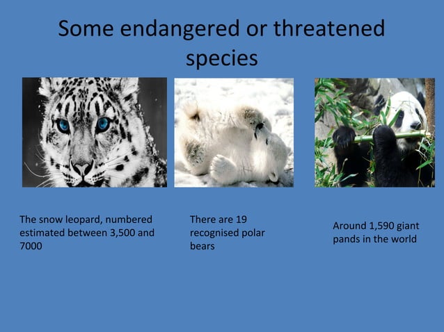 Extinct, endangered or threatened | PPT