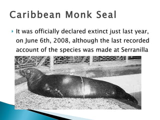 Extinction | PPT