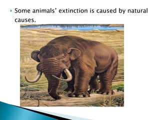 Extinction | PPT