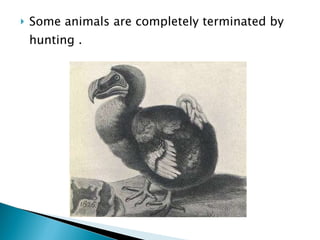 Extinction | PPT