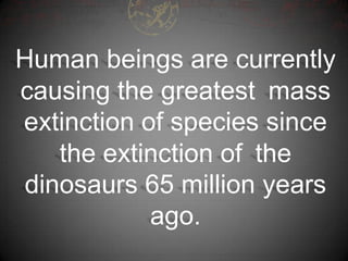 Endangered Species & Extinction | PPTX