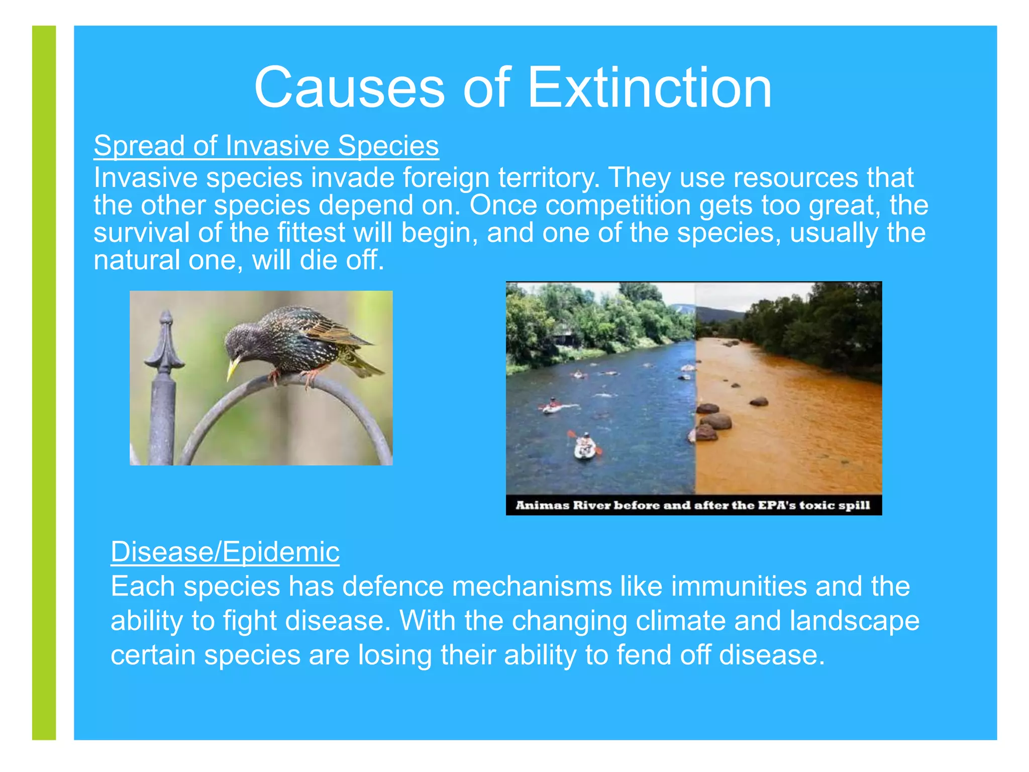 Biodiversity & Extinction #scichallenge2017 | PPTX