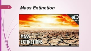 Extinction - Biodiversity and conservation | PPTX | Environment | Science