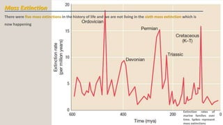 Extinction | PPTX