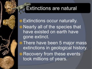 EXTINCTION.pptx