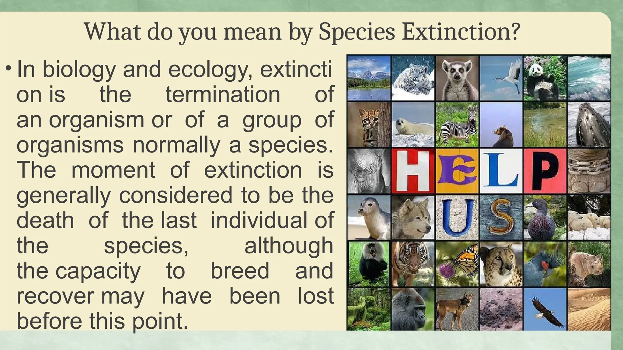 Science Grade 9 species extinction lesson | PPTX