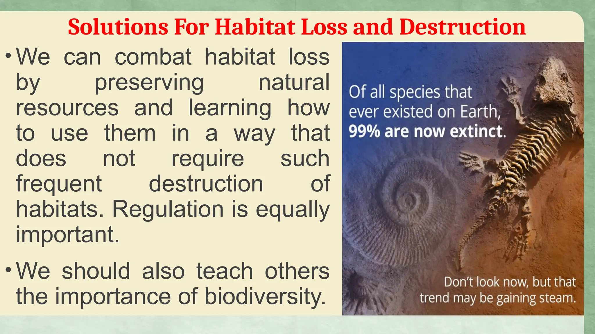 Science Grade 9 species extinction lesson | PPTX