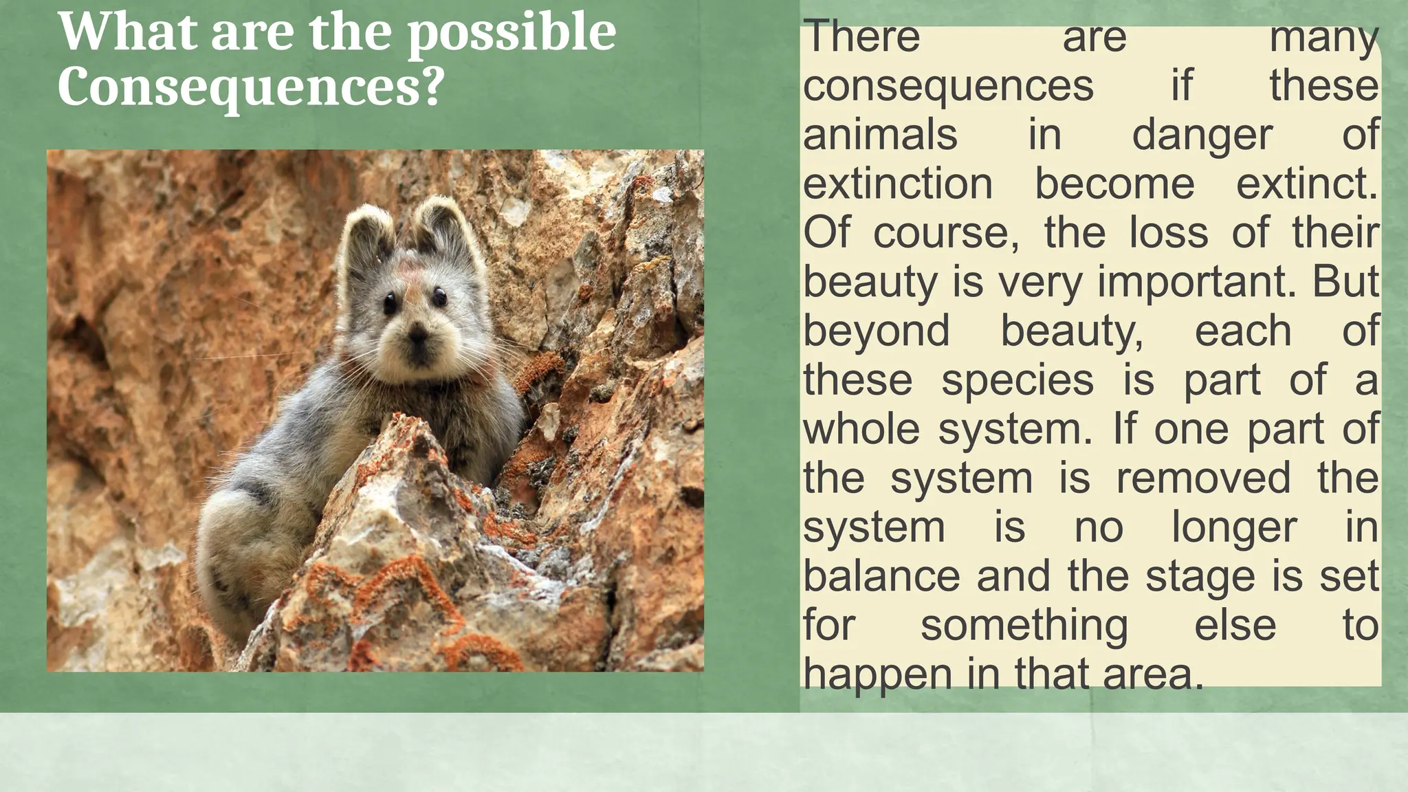 Science Grade 9 species extinction lesson | PPTX