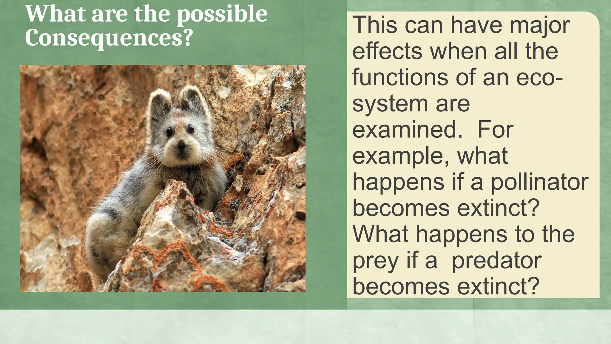Science Grade 9 species extinction lesson | PPTX