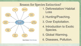Science Grade 9 species extinction lesson | PPTX