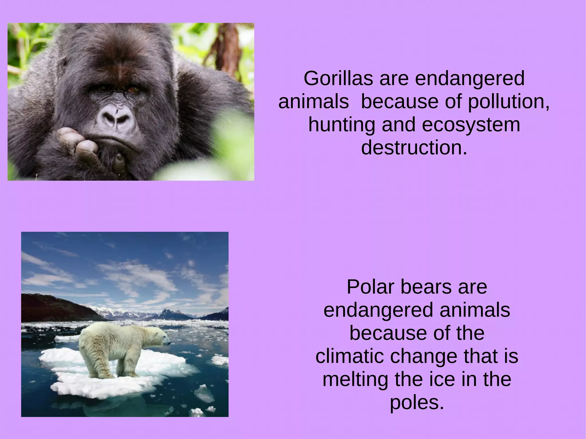 Extinction and loss of biodiversity | PDF