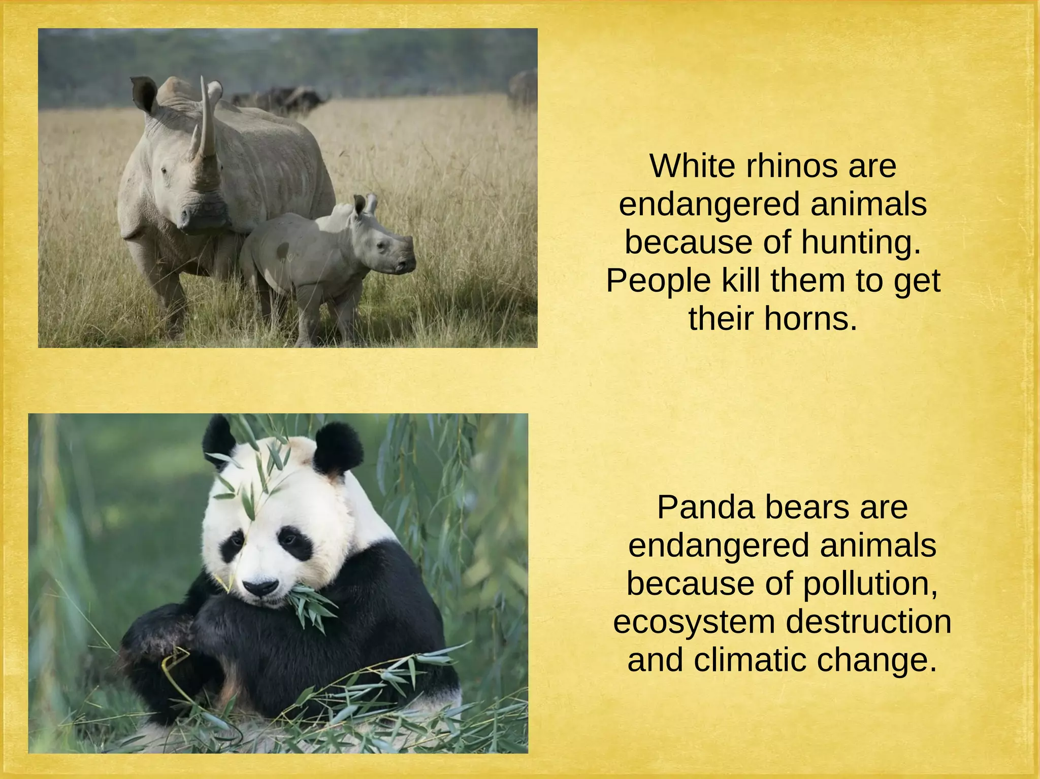 Extinction and loss of biodiversity | PDF