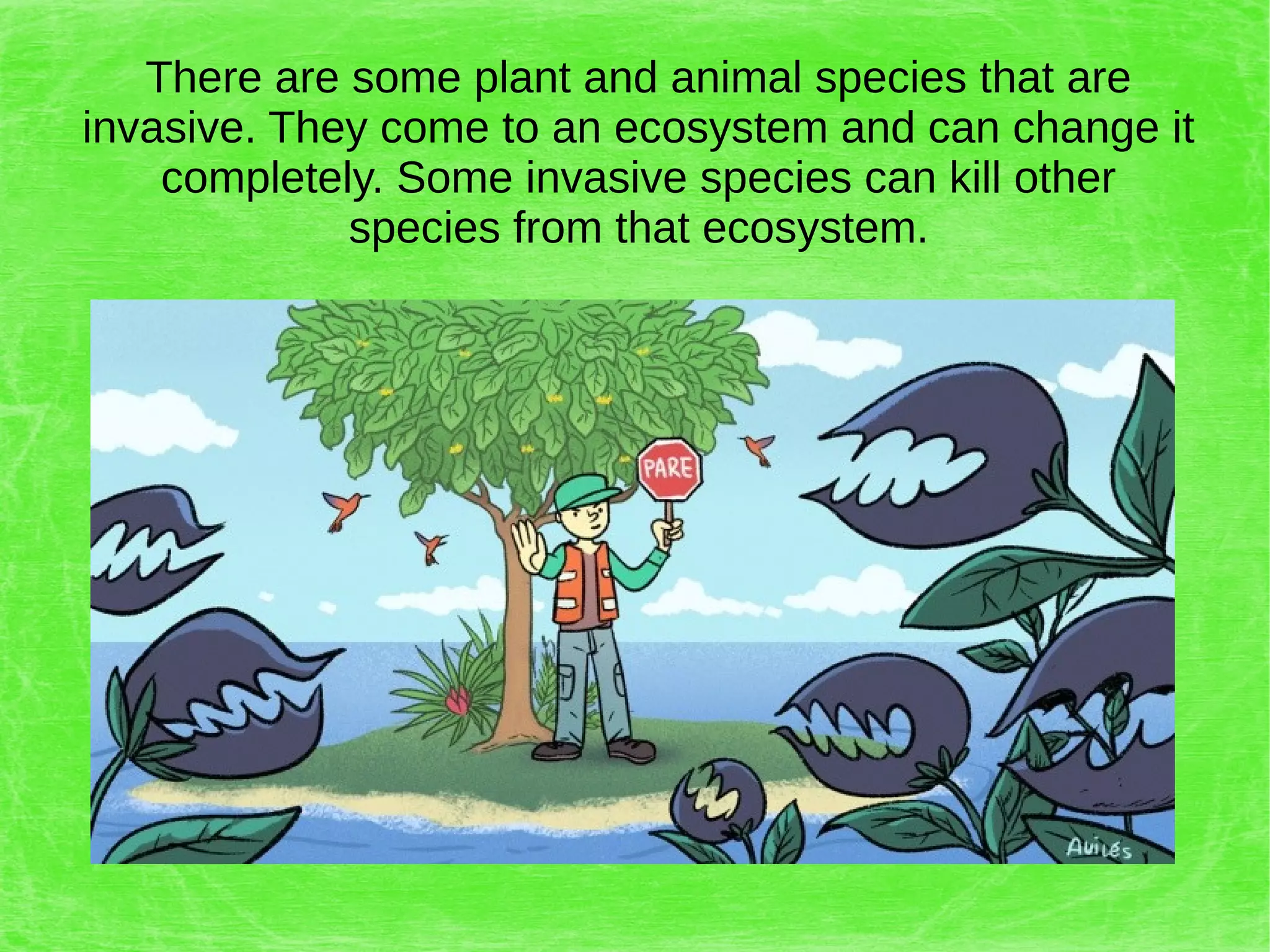 Extinction and loss of biodiversity | PDF